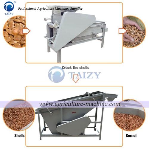 Palm Kernel Cracker Machine Agriculture Machine