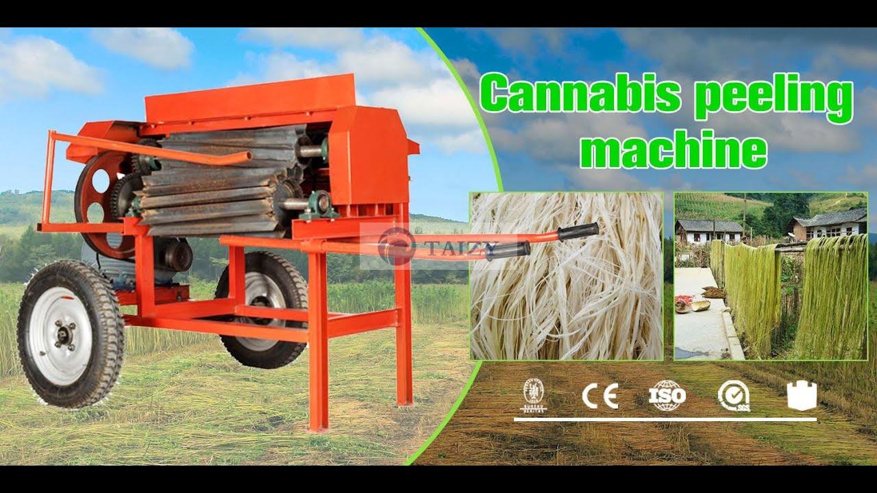 Kenaf jute hemp cutter extractor machine / Kenaf decorticator ...