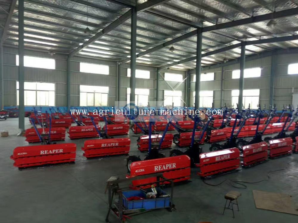 Economical Rice Wheat Cutting Drying And Binding Machine