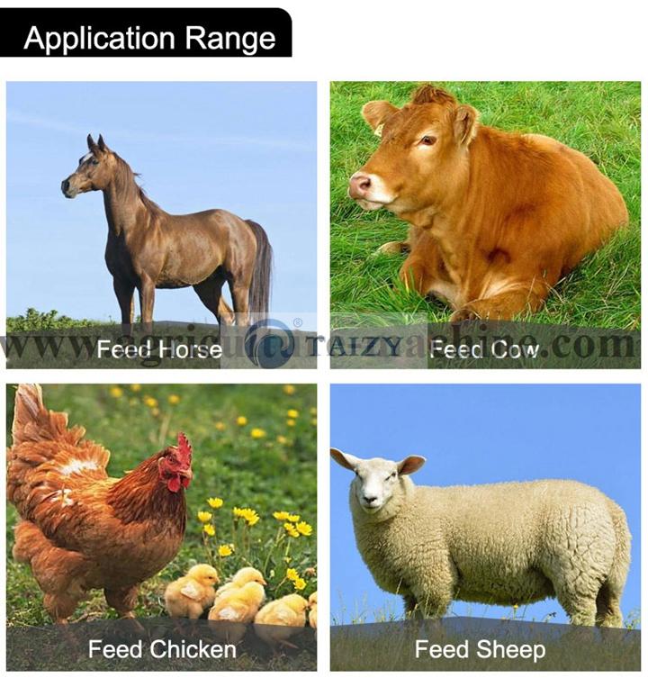 What’s The Value Of Corn Silage?