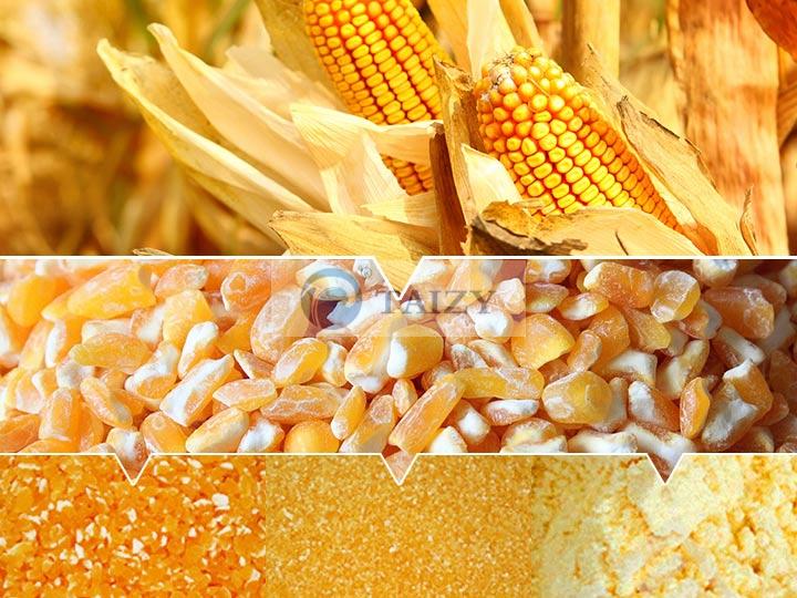 Corn, maize grits making machine mill and grinding machine