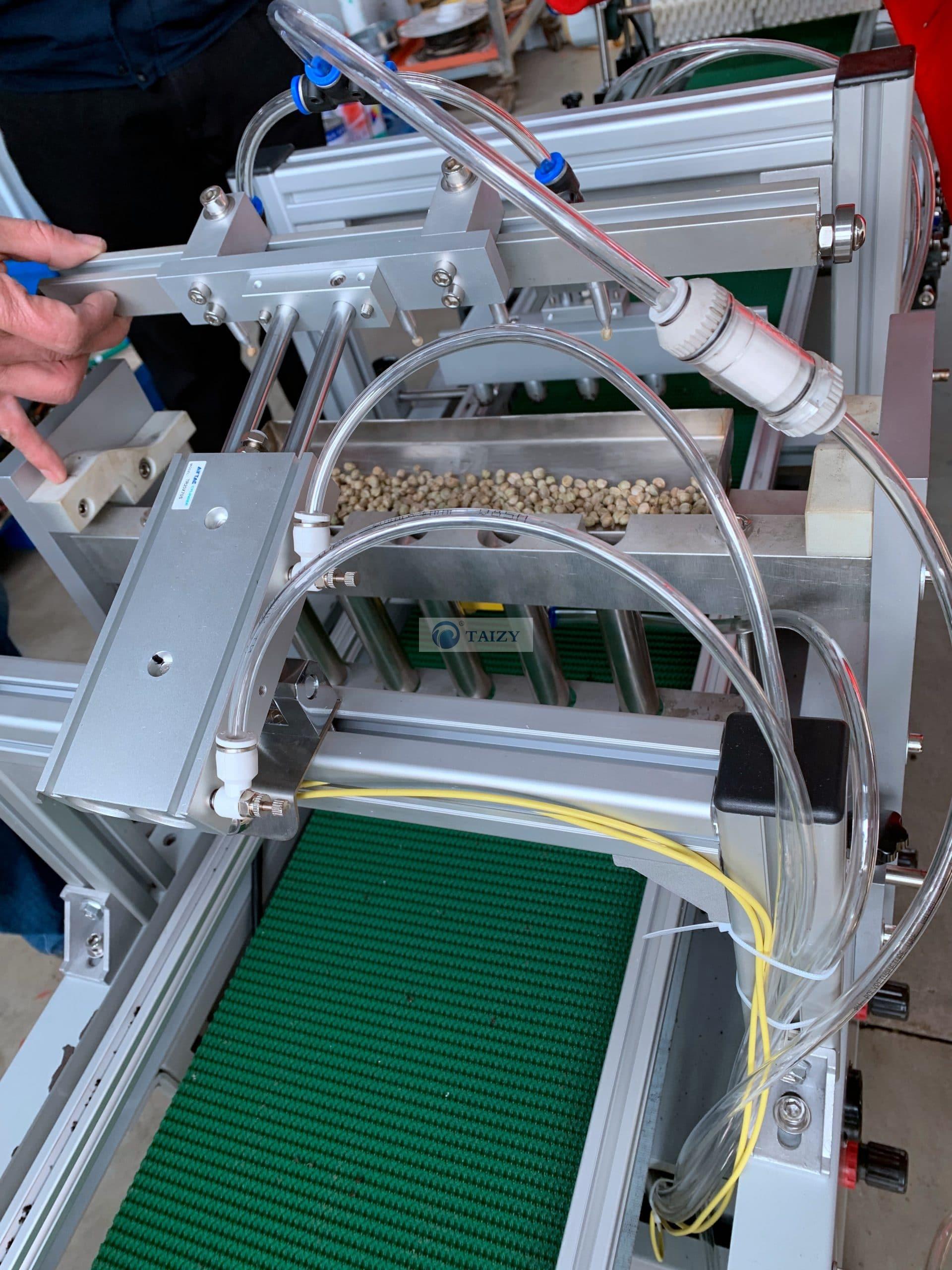 Automatic Tomato Seedling Machine Sold To Morocco Automatic Tomato Seedling Machine Sold To Morocco
