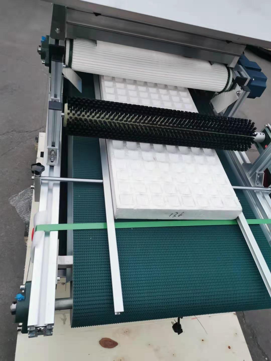 Automatic Tomato Seedling Machine Sold to Morocco Automatic Seeding