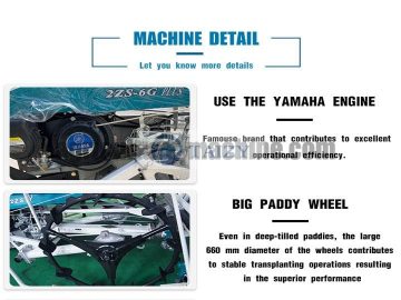 High Efficient Walk-behind Rice Transplanter With Good Price