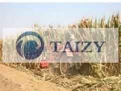 Affordable Price Corn Stalk Reaping Machine For Sale