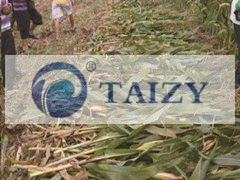 Affordable Price Corn Stalk Reaping Machine For Sale