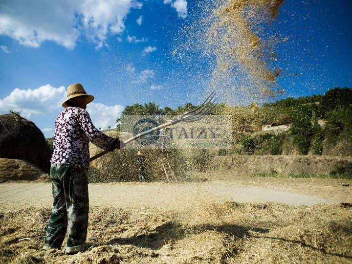 Grain Winnower Machine | Seed Winnower | Seed Winnowing Machine