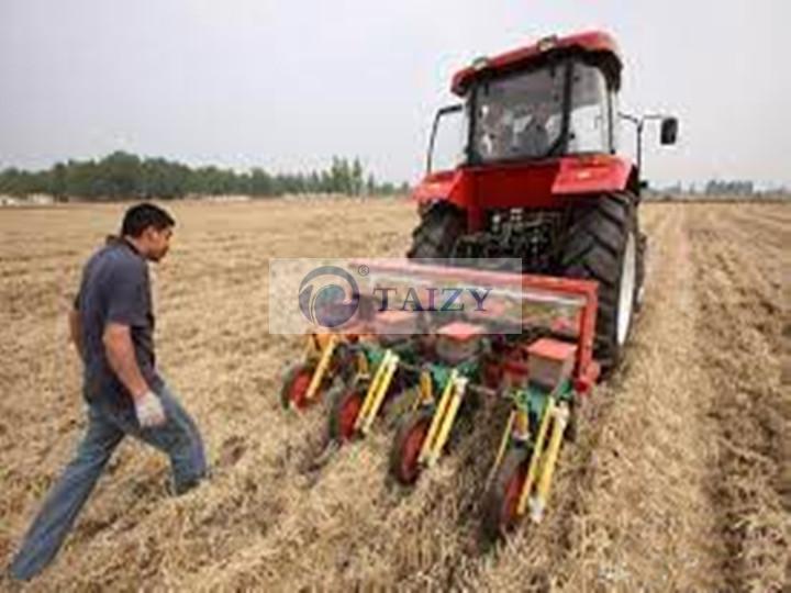 How To Grow Wheat Efficiently | Maintenance Of Wheat Planter