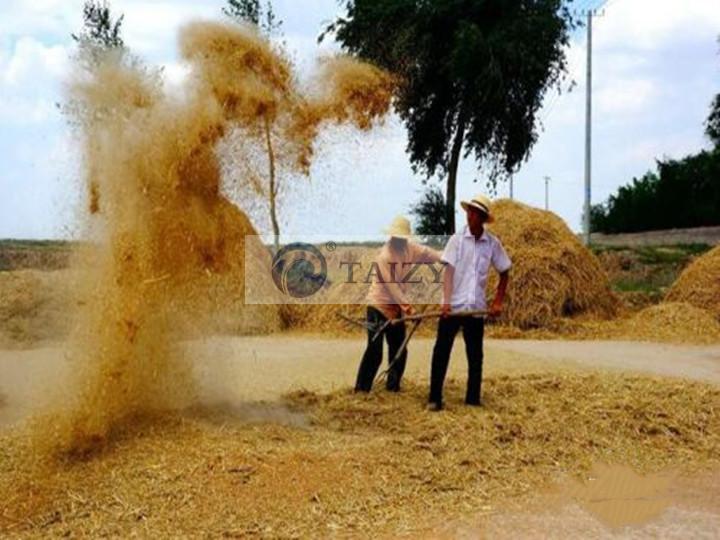 Preparation Before The Storage Of Crops