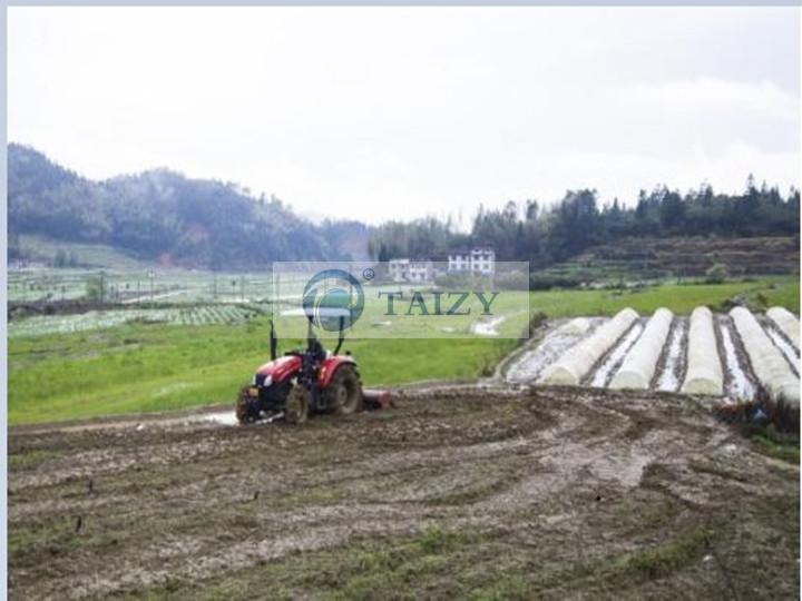 Rice From Planting To Harvest | Growing Process Of Rice
