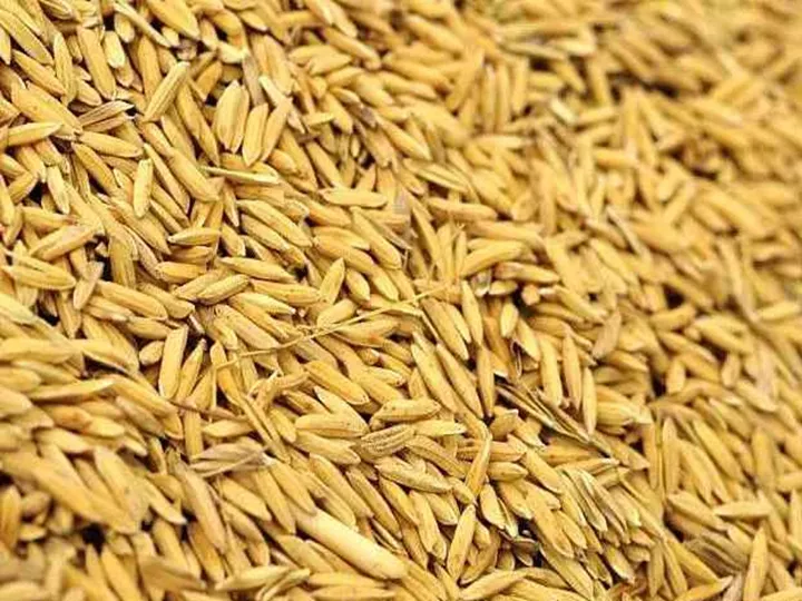 Unité de transformation de paddy de haute qualité 20TPD pour usine de ...