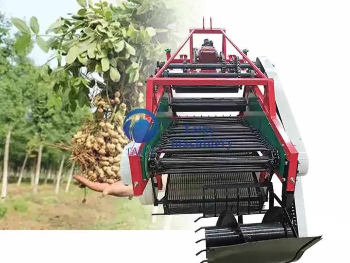 Automatic Vegetable Seeder Shipped To Malaysia