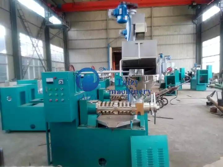 Mass Production Screw Press Oil Extraction Machines Factory