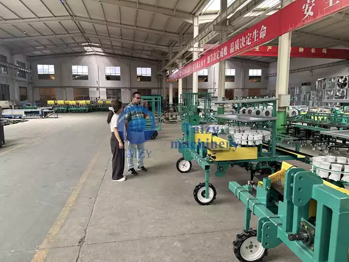 Pakistan Customer Inspected 2 Rows Seedling Transplanter